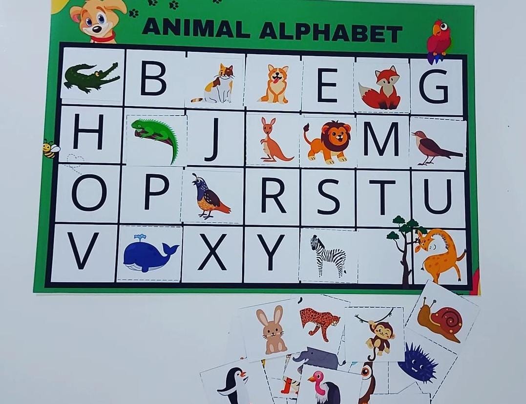 Kit Animal Alphabet – Box da Teacher